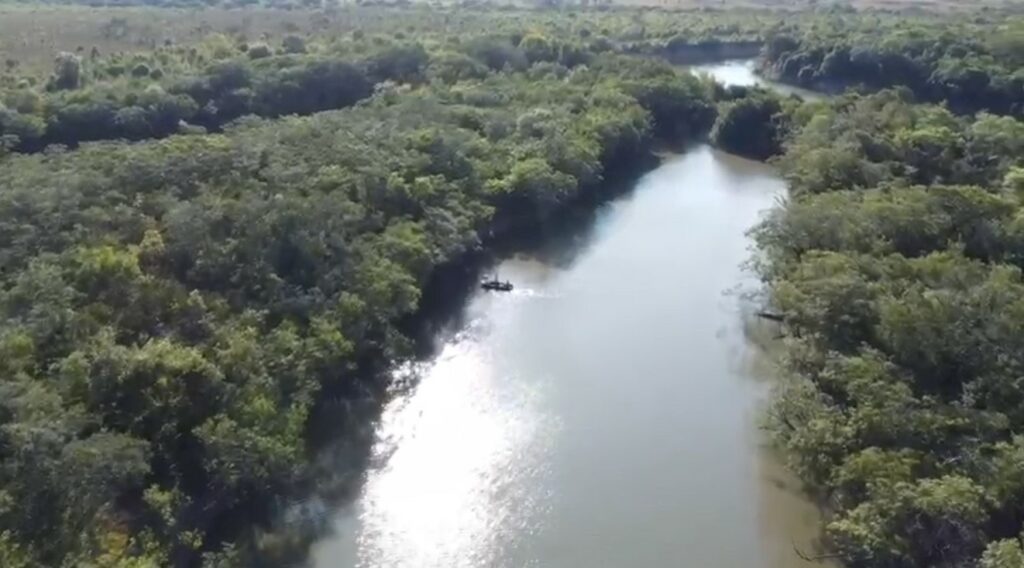 Peacock Bass fishing in Caño Gavilan river, Colombia ⋆ Nomonday